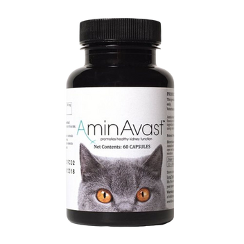How Can Advanced Vitamin Formulations Transform Feline Wellness and Lo ...