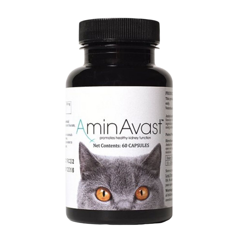 Best oral flea and tick medication for dogs 2026: what’s really changi ...